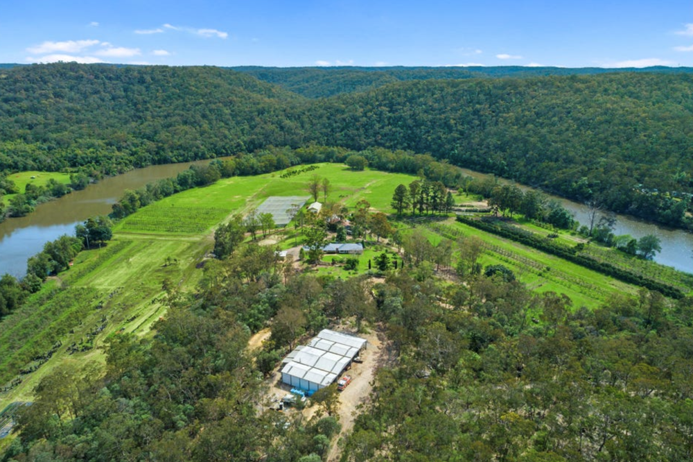 Prime lamb producer 'Balmullin' now has a $14 million price tag in ...