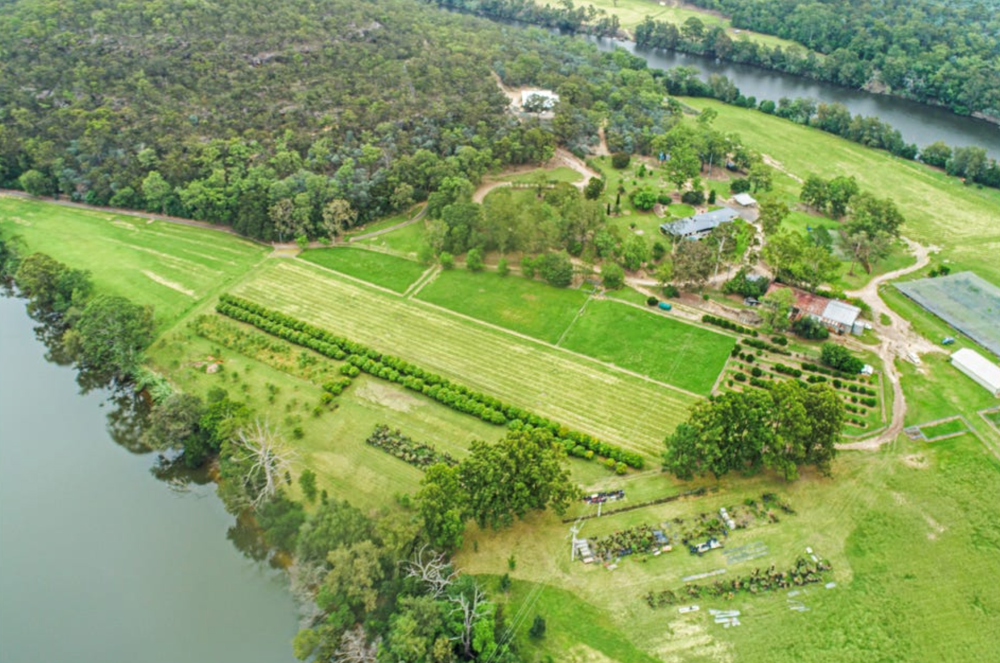 Prime lamb producer 'Balmullin' now has a $14 million price tag in ...