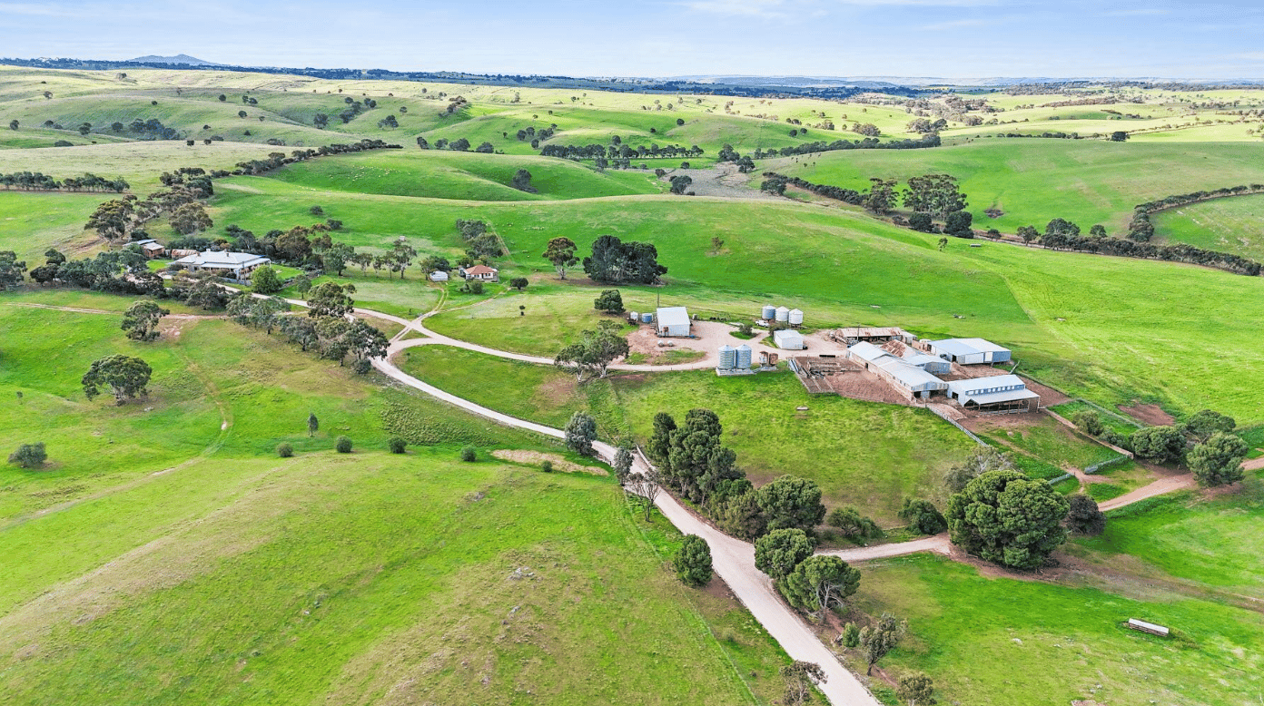 Rural market momentum builds on red meat strength and offshore interest