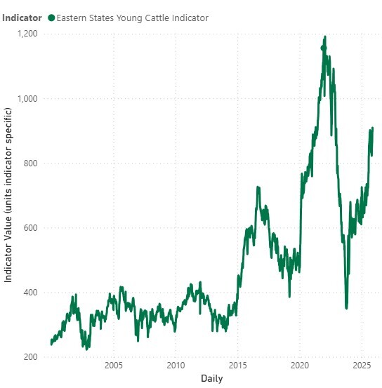 INDICATORS: EYCI continues upward trajectory