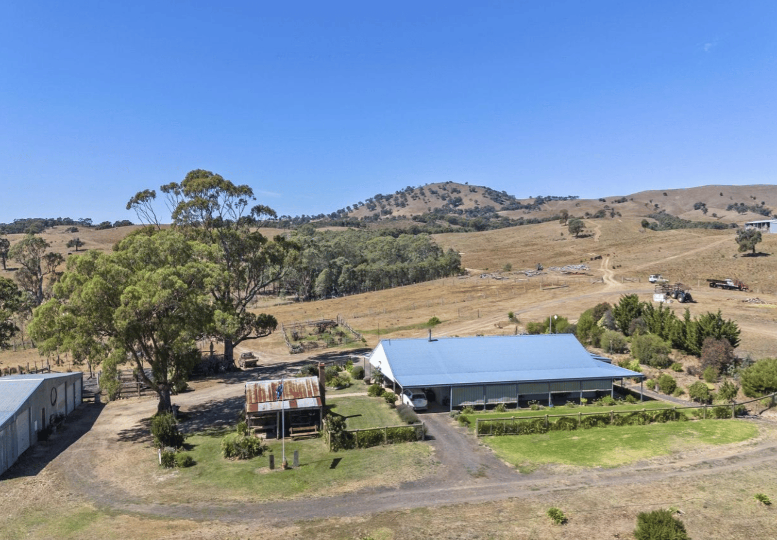 Property: Carbon project potential on offer and Wagyu breeders snap up ...
