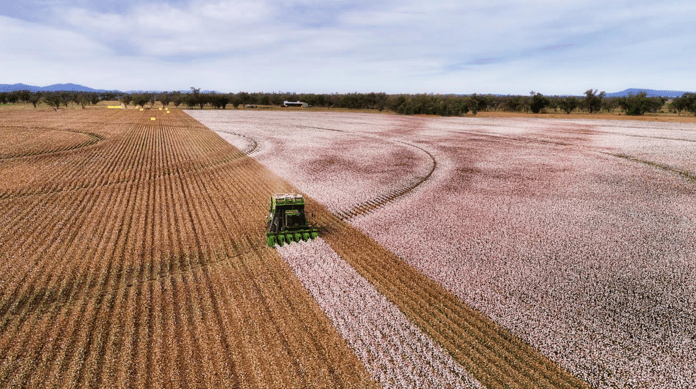 The jaw-dropping numbers behind 2024’s biggest farm sales