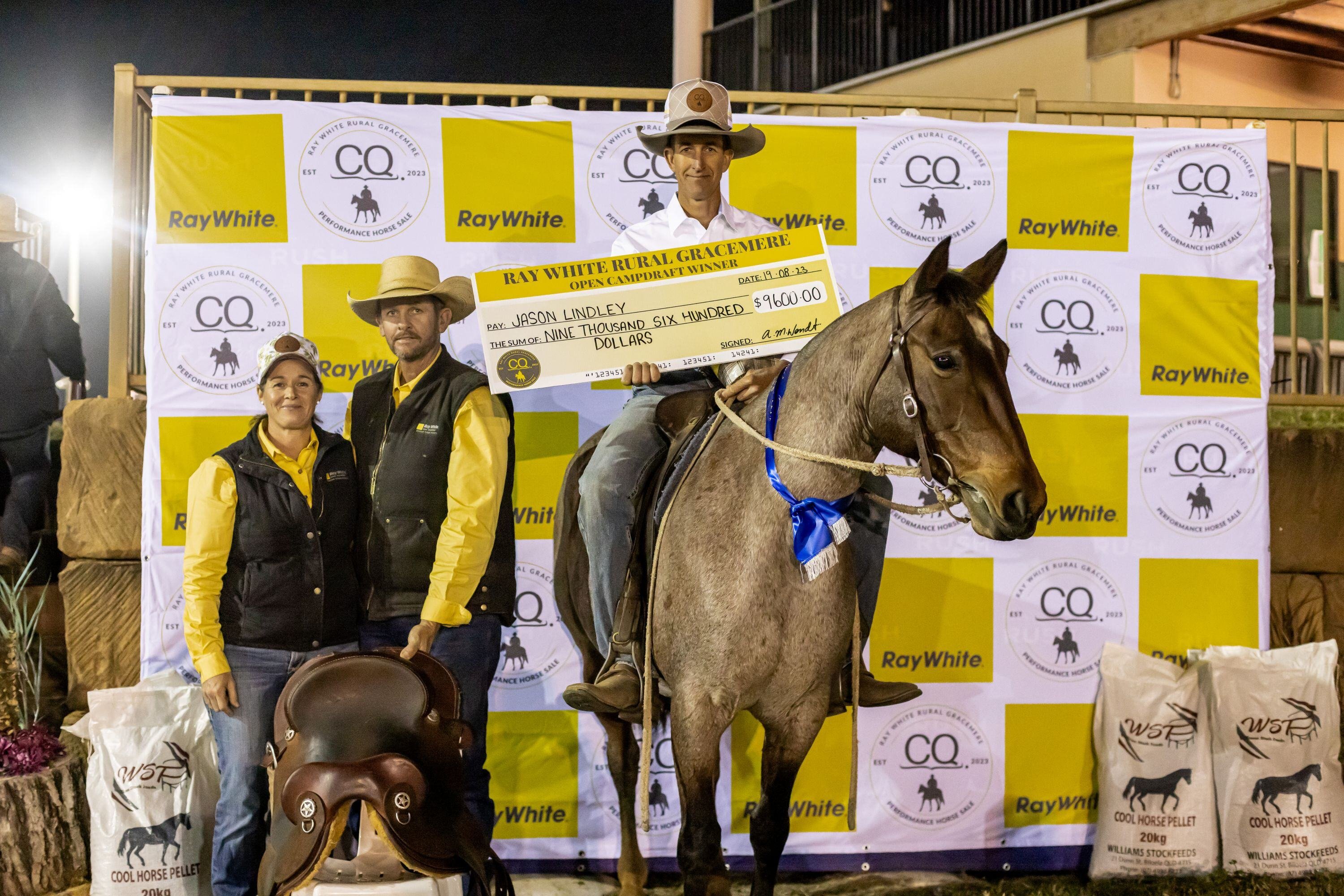 Top yearlings and ridden horses headline CQ Performance Horse Sale and ...