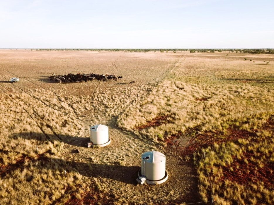 SLM Partners lists institutional-scale regenerative grazing portfolio ...