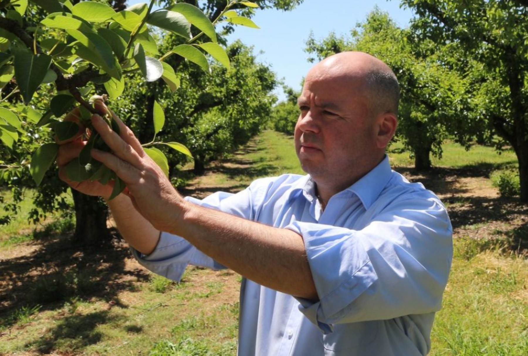Updated: Biosecurity 'tax' vote pushed off to next week