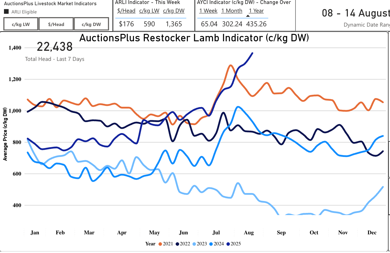 AuctionsPlus Restocker Lamb Indicator soars to record high