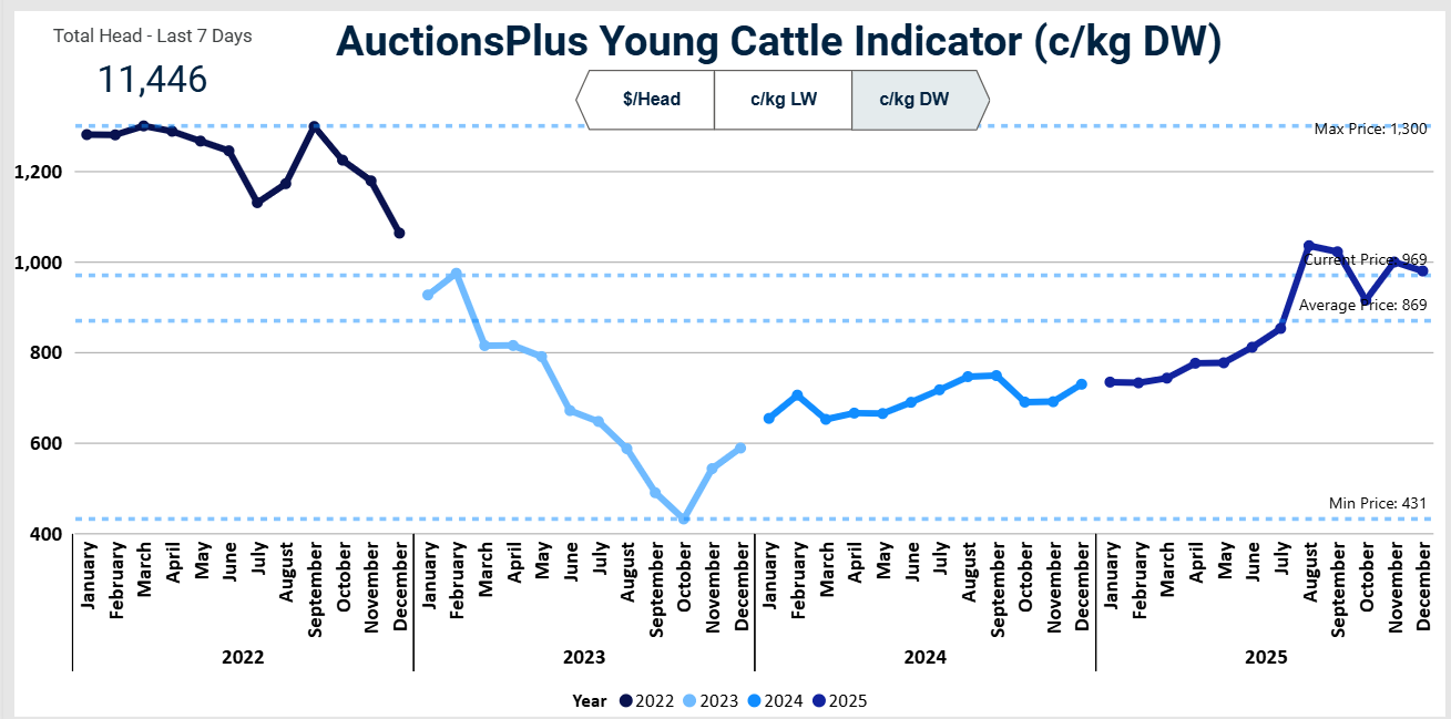 INDICATORS: 2025 a year of recovery and records