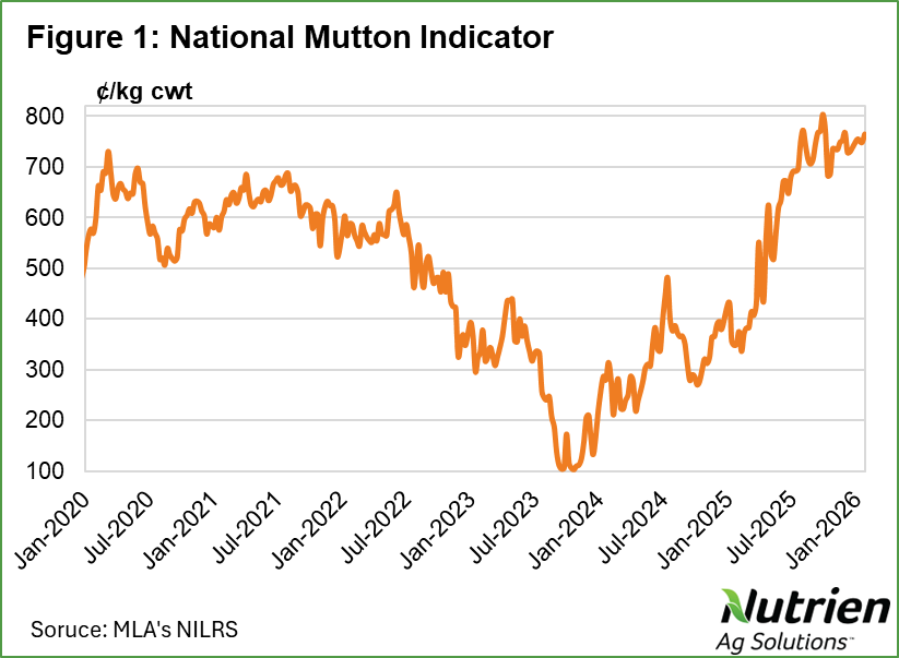 Mutton market set to soar with a good soaking