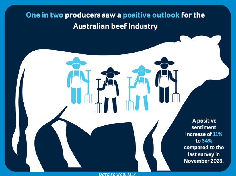 Survey reveals growing optimism in Australian beef industry