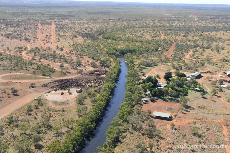 Property Roundup: Filipino businessman lists NT cattle station covering ...
