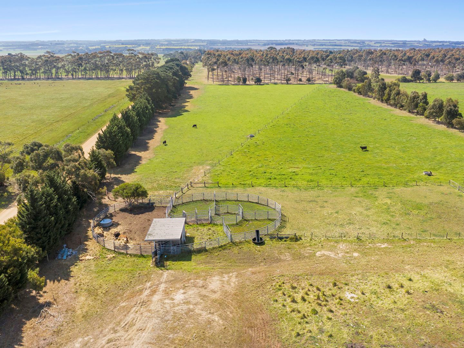 Property Roundup: Filipino businessman lists NT cattle station covering ...