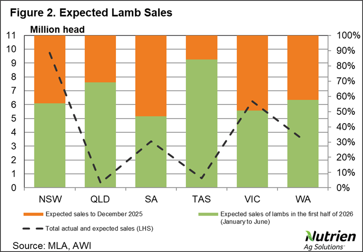 Producer survey points to tighter lamb supply ahead