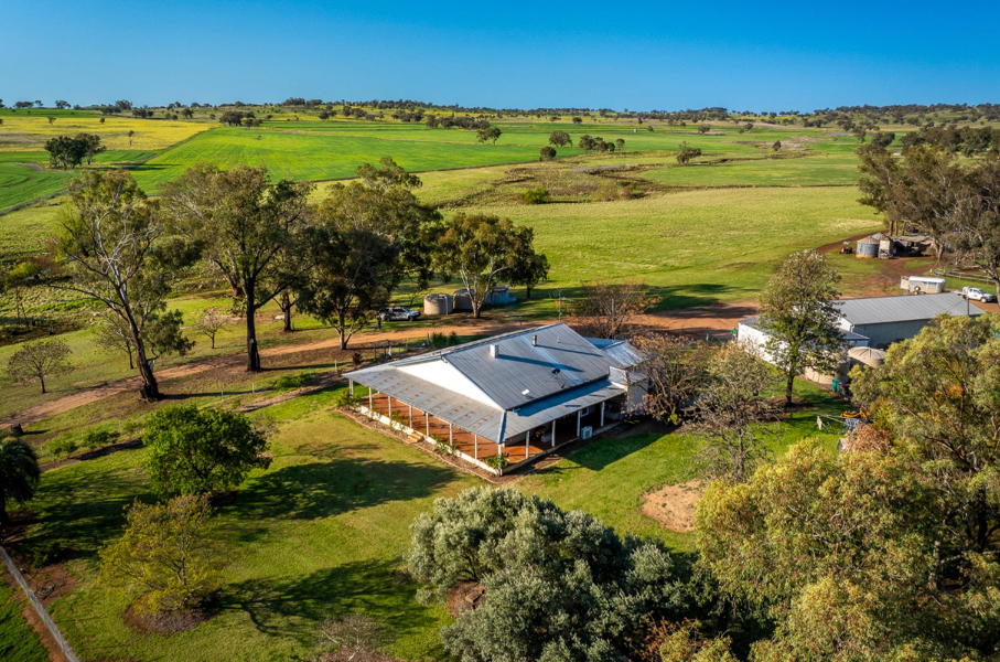 Property round-up: Gunn Agri Partners and Go.Farm make rural real ...