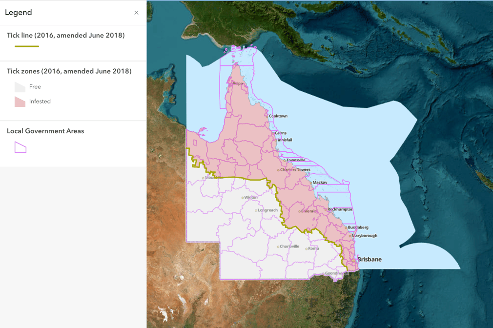 Tick outbreaks emerging inside Queensland’s ‘clean’ cattle zone: what ...