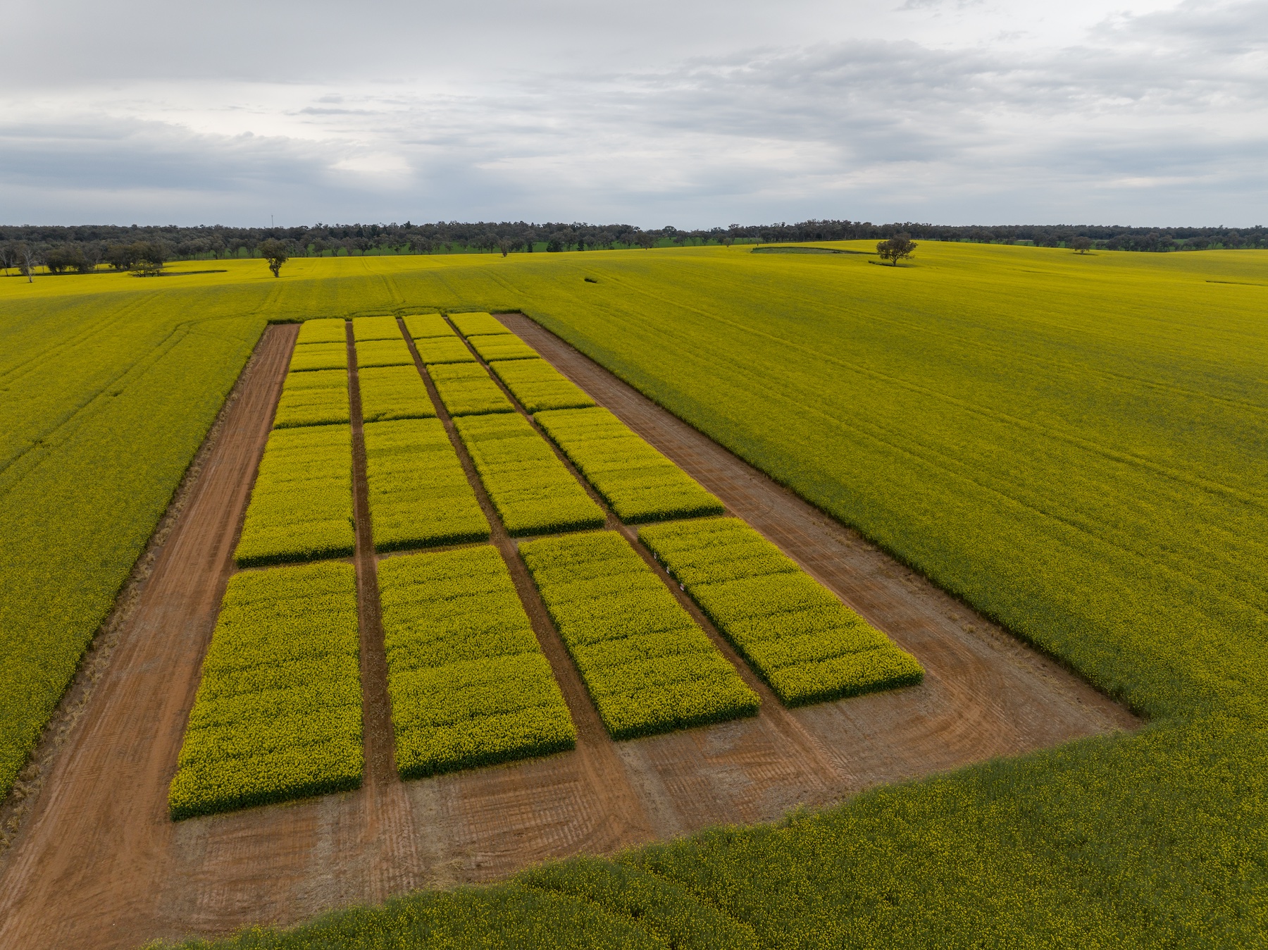 Massive US fund manager enters ag lending space