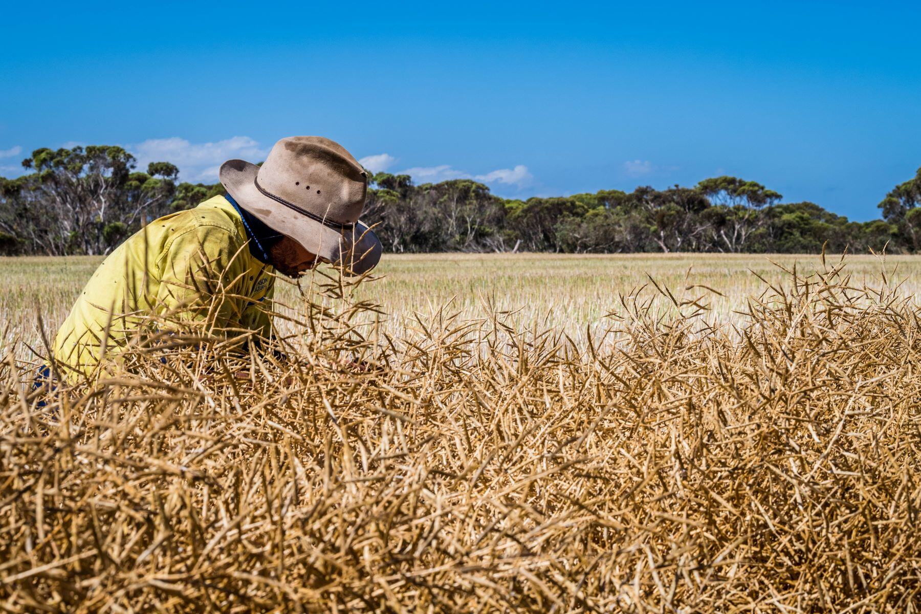 Farmer wellbeing front of mind during Farm Safety Week