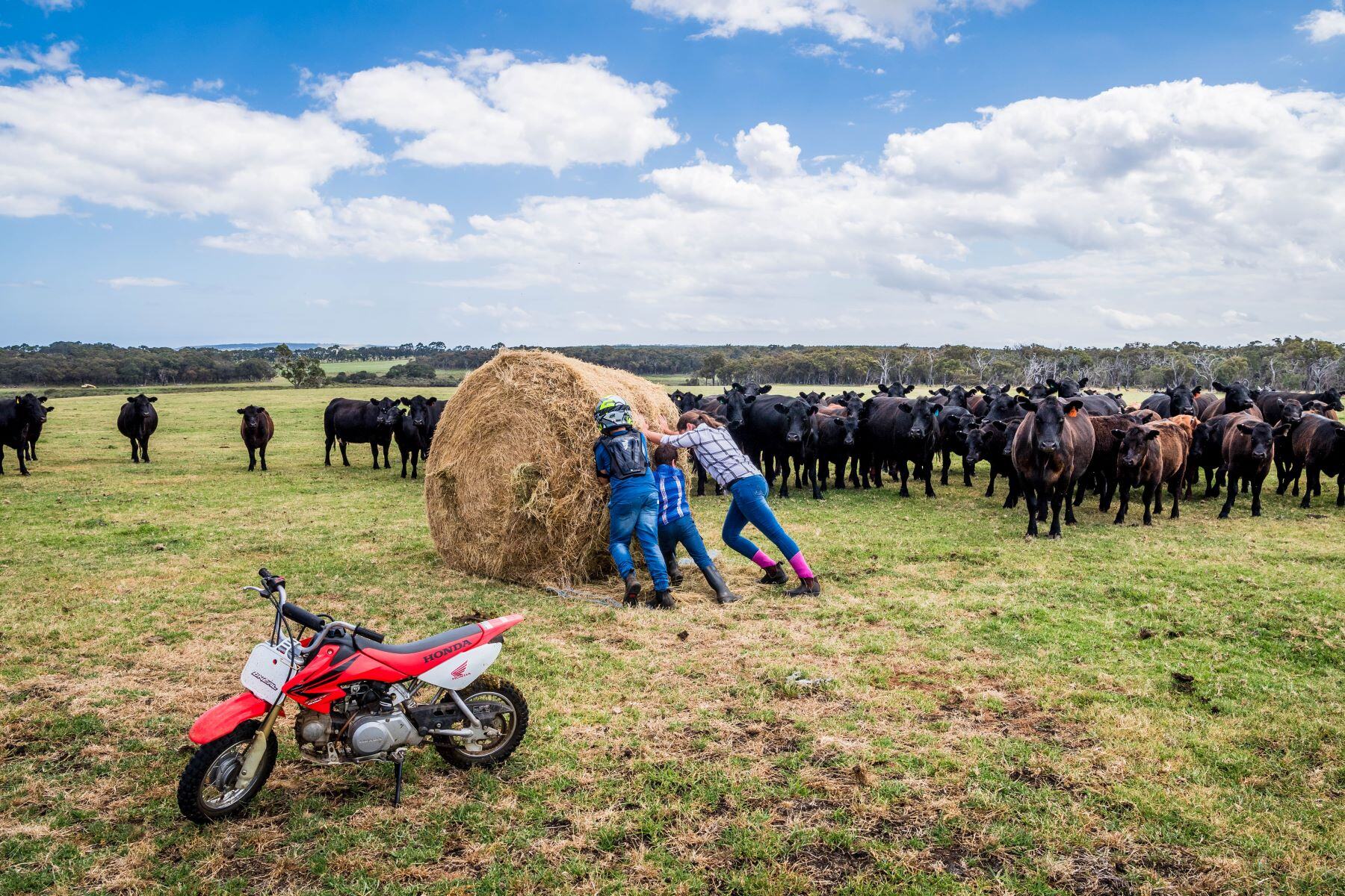 Keeping kids involved and safe on farms a balancing act