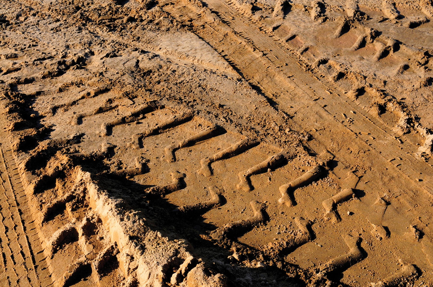 Why Australia’s soils are notoriously poor