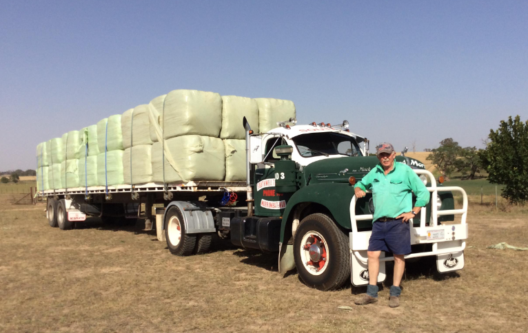 4 Things in My Backyard: Simon Southwell