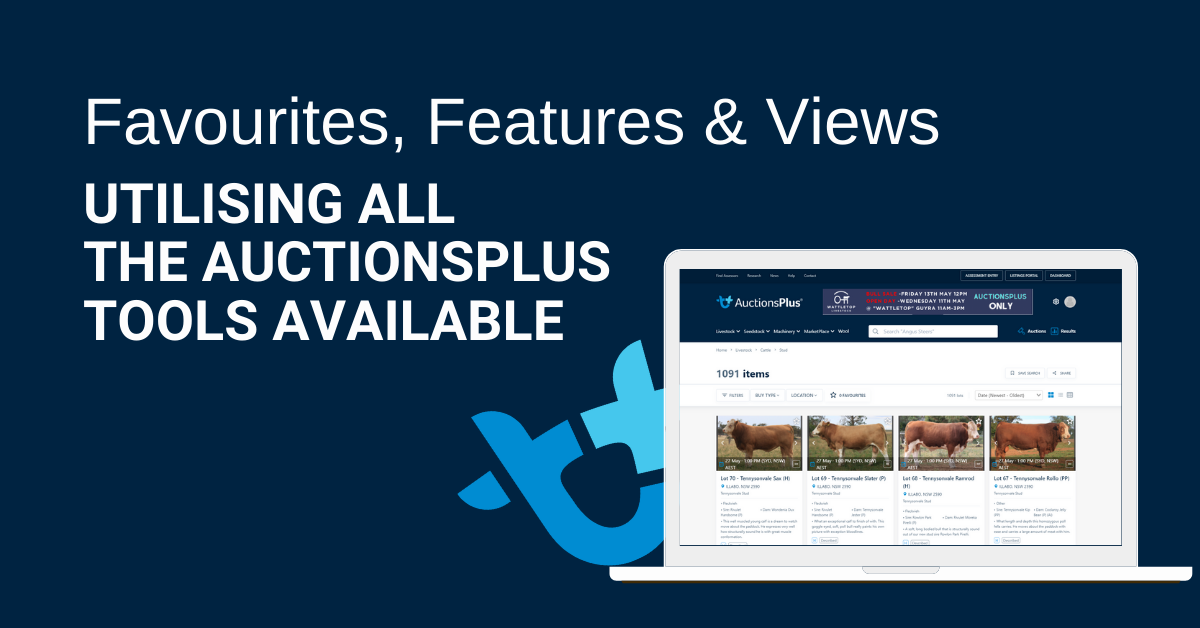 Favourites, Features & Views – Utilising all the AuctionsPlus tools ...
