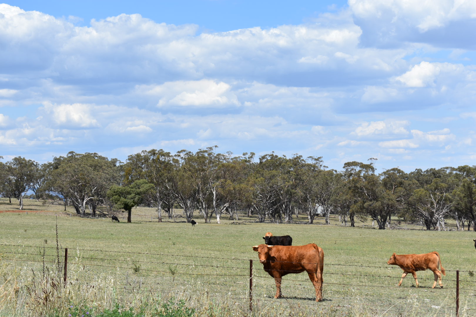 How to Draw up a Succession Plan That Works