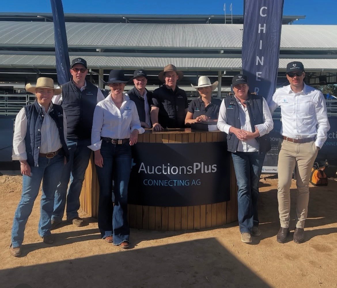 Through the lens: The people and ideas driving Angus forward