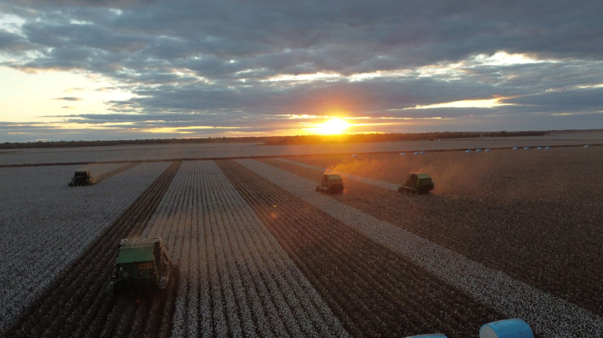 Canadian pension giant takes full control of $500 million Riverina farm ...