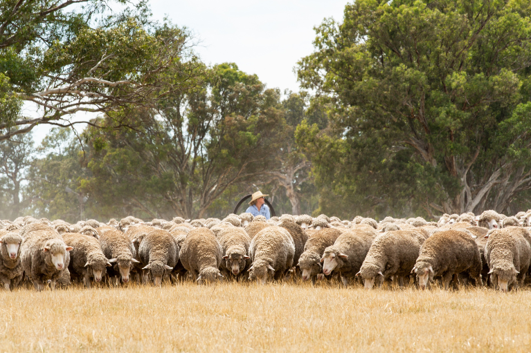 LISTEN: Productive mindsets and positivity on-farm