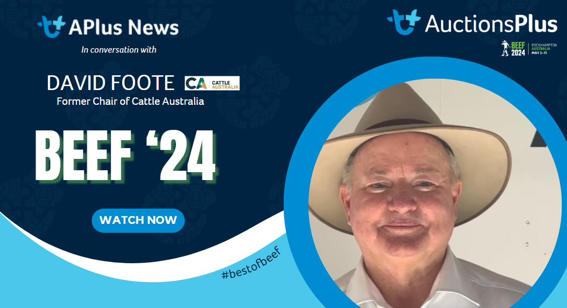 David Foote on the big questions being asked and answered at Beef 2024