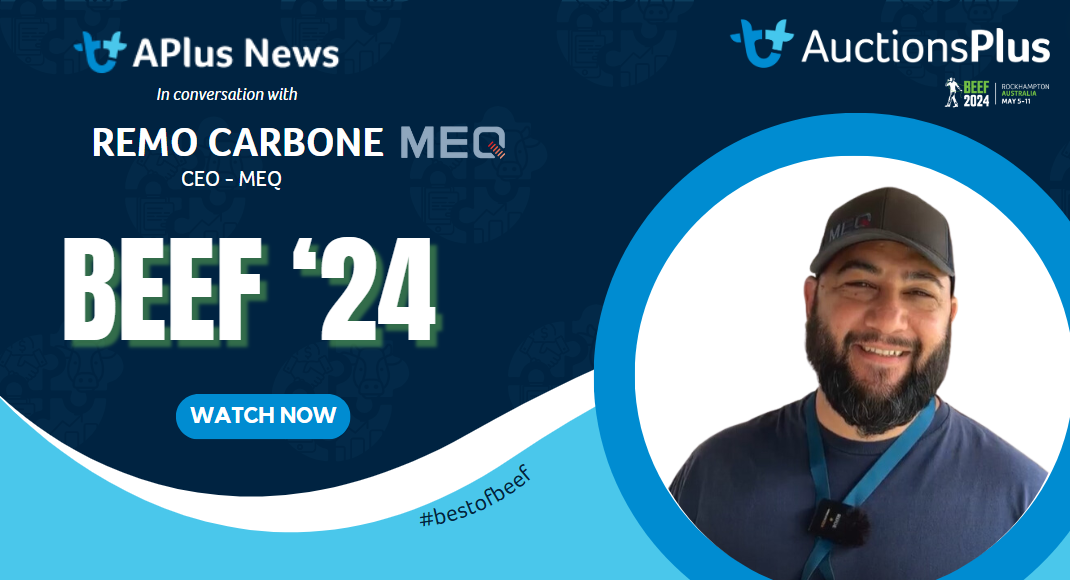 How MEQ's carcasse probe will change pricing dynamics