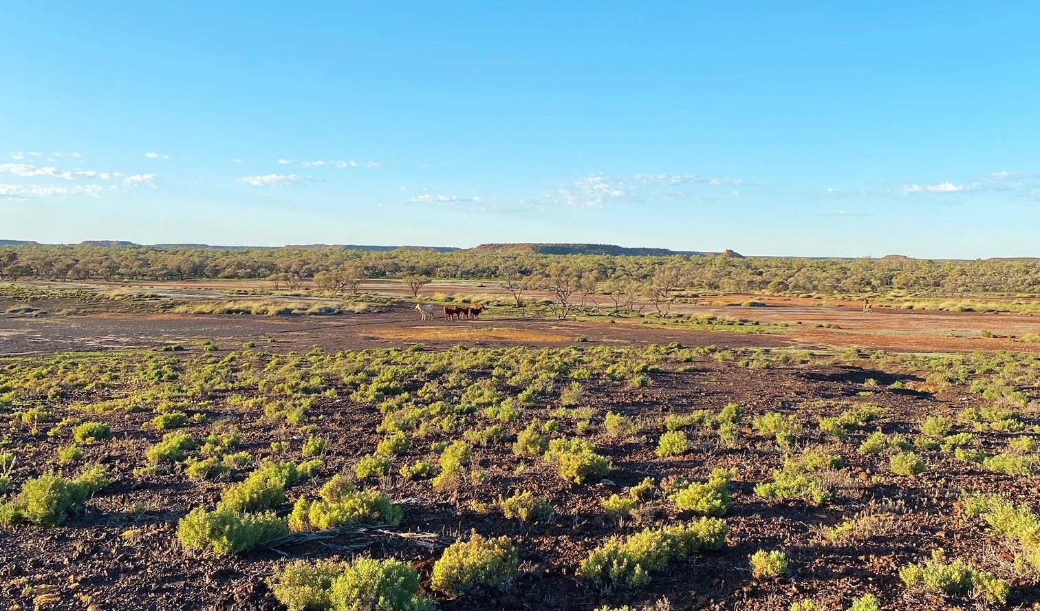 350,000ha cattle country to become national park in landmark deal