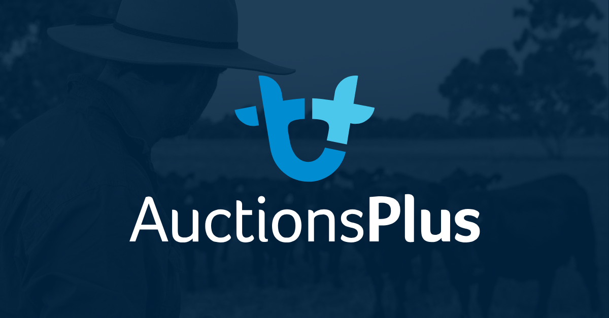 MarketPulse | Stuart Bull, MLA Project Manager – Southern Livestock ...